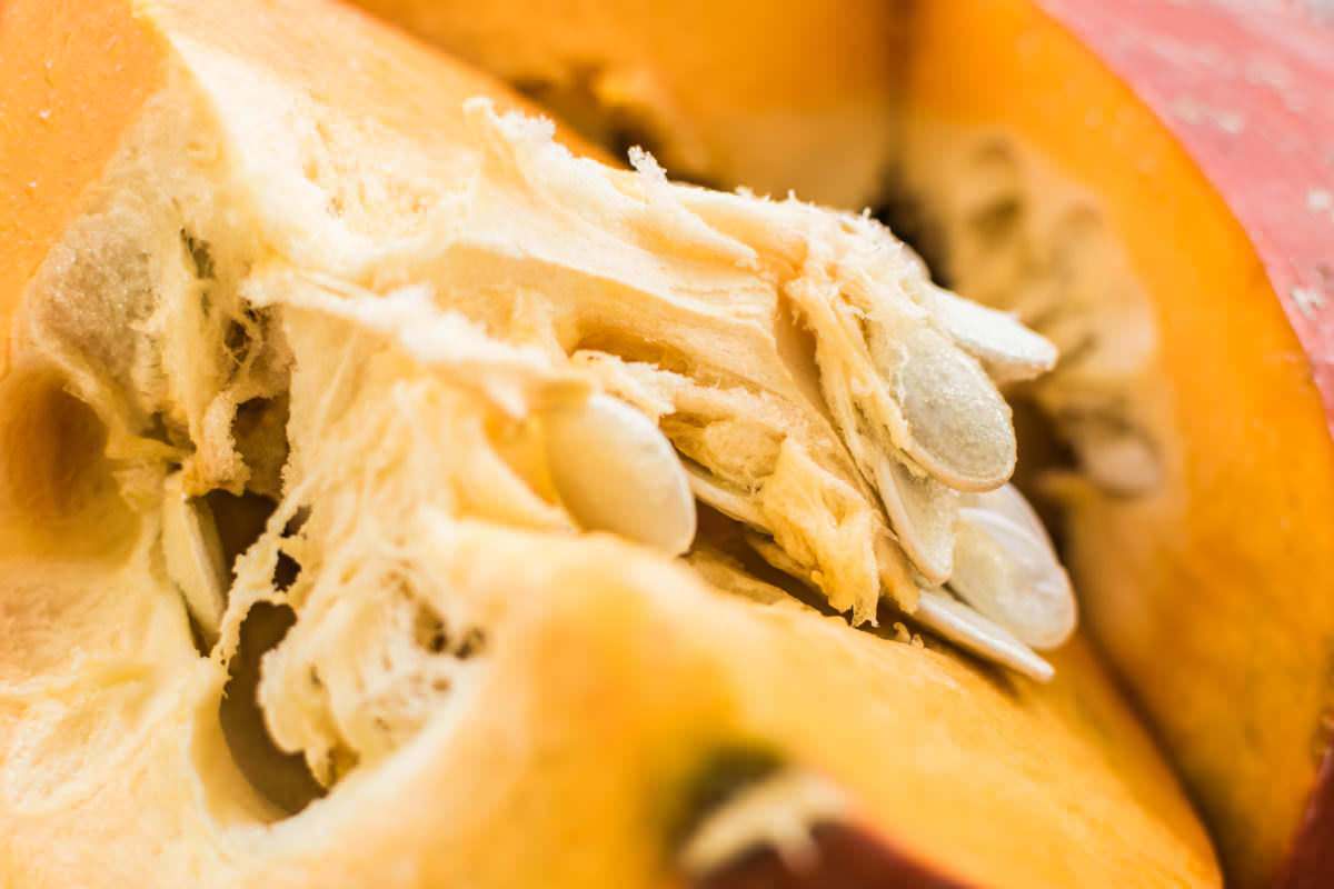 Garbage Disposals are No Place for Pumpkin Pulp - Biard & Crockett